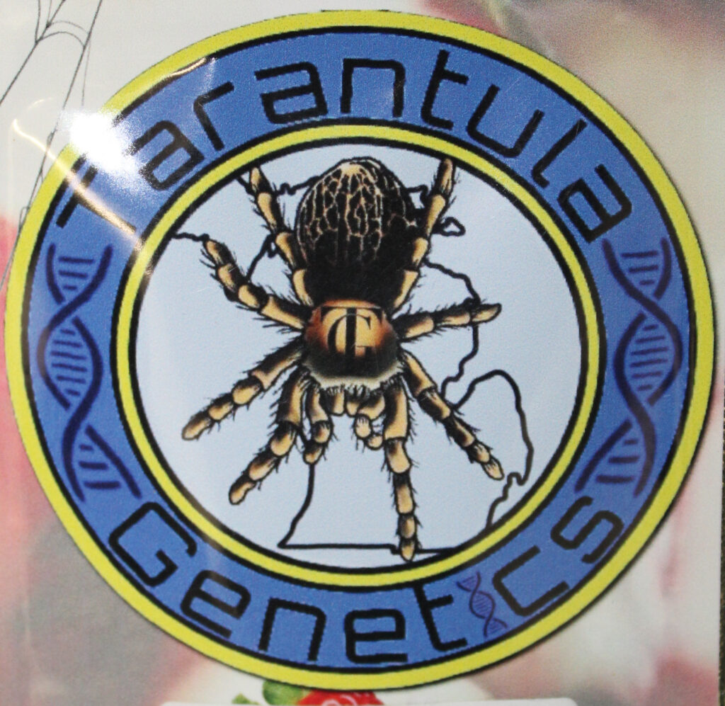 Tarantula Genetics – iGrow VA