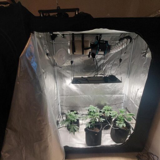 Donations – iGrow VA